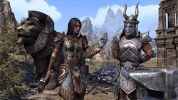 Équipement Militaire | Wiki The Elder Scrolls | Fandom