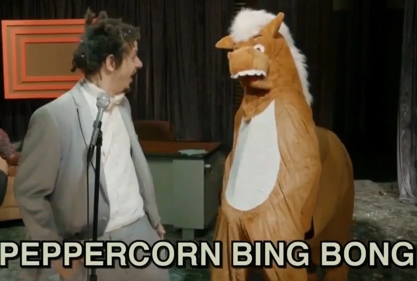 Peppercorn Bing Bong | The Eric Andre Show Wikia | Fandom