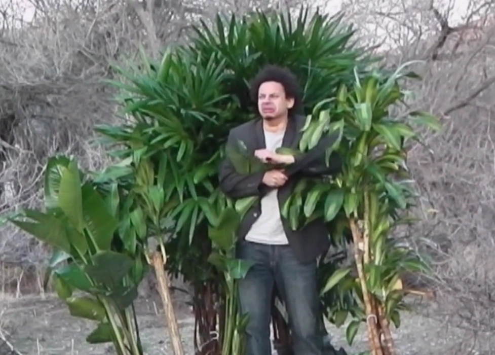 J-Moe | The Eric Andre Show Wikia | Fandom