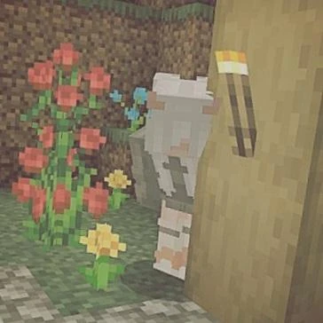 Queen | Thee_Silver_Smp_MC Wiki | Fandom