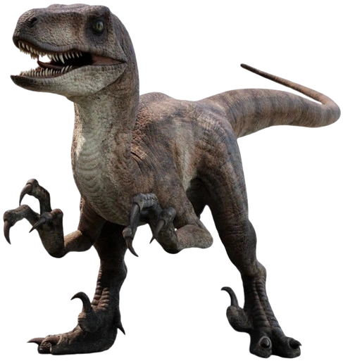 Velociraptor | The Fall of Isla Nublar Wiki | Fandom