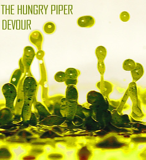 DEVOUR | The Fear Mythos Wiki | Fandom