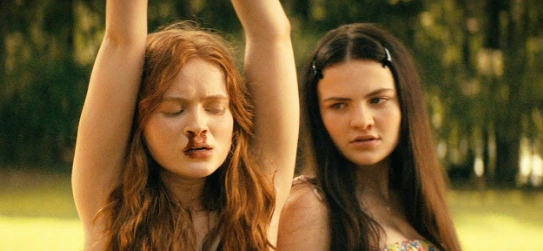 Revenge on Ziggy Berman | Fear Street Wiki | Fandom