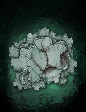 Lifebergs | The Fifth City: Fallen London's Lore Wikia | Fandom