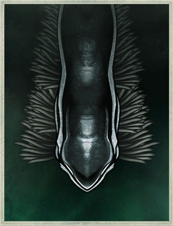 Neither | The Fifth City: Fallen London's Lore Wikia | Fandom