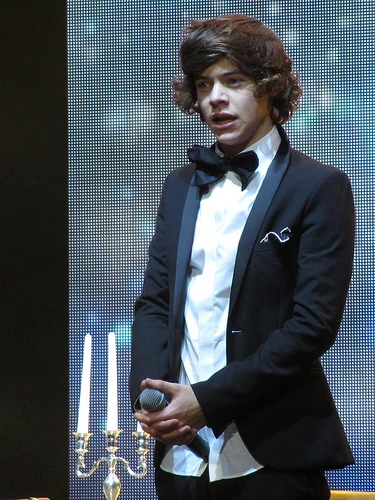 Dreamy Bat | The Flea Theater Wiki | Fandom