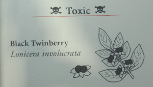 Twinberry - Official The Forest Wiki