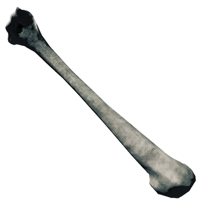 Bone - Official The Forest Wiki