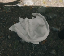 Cloth - Official The Forest Wiki