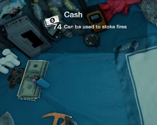 Cash - Official The Forest Wiki