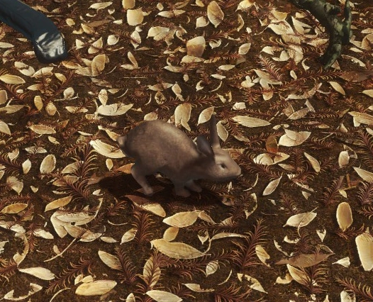 Rabbit/ko - Official The Forest Wiki