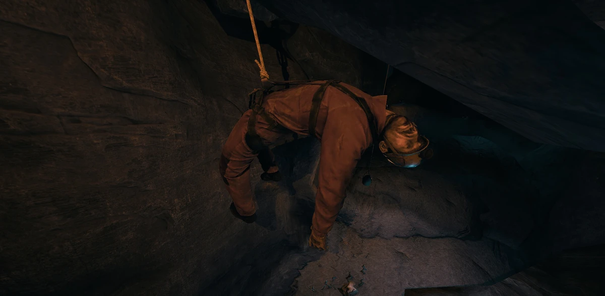 Cave Explorers - Official The Forest Wiki