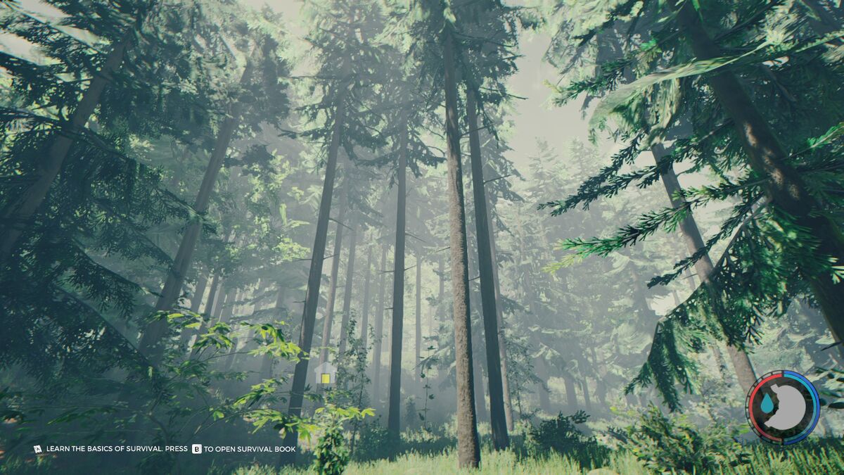 Category:Flora - Official The Forest Wiki