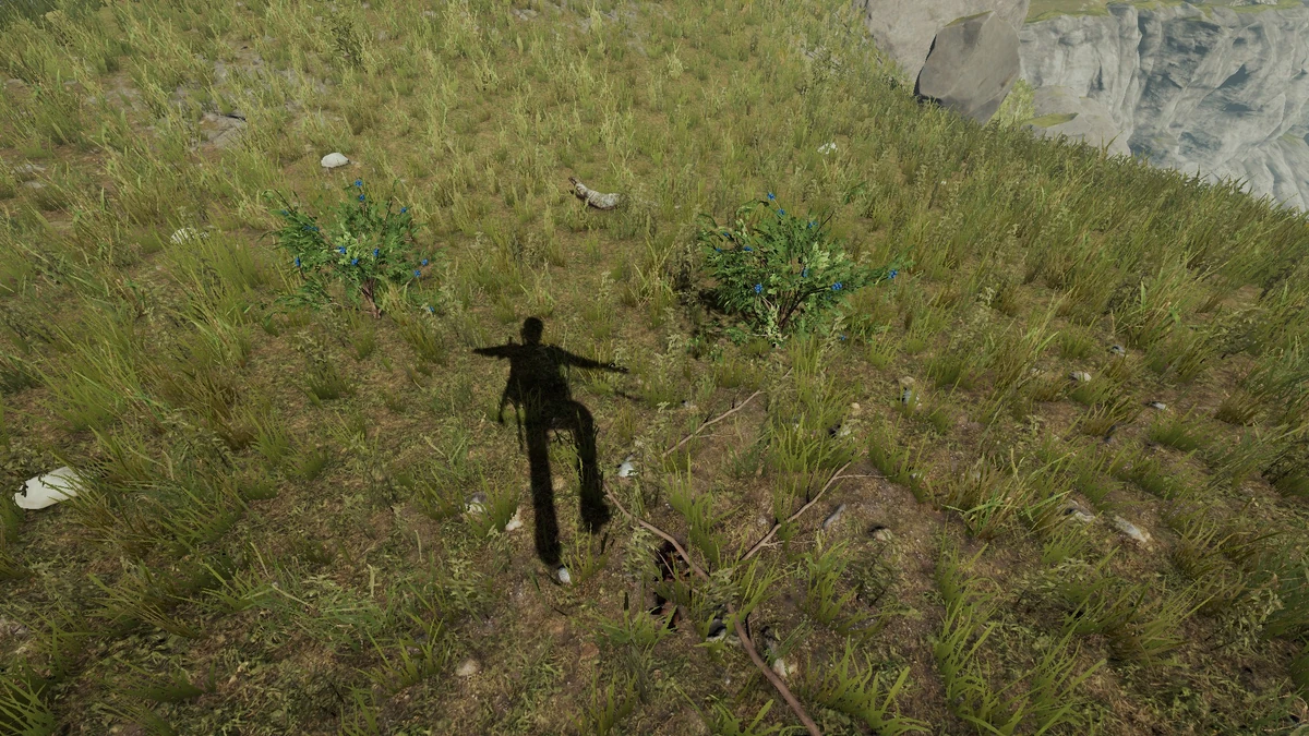 Jumping - Official The Forest Wiki