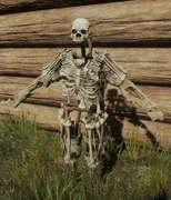 Bone Armor - Official The Forest Wiki