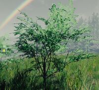 Bush - Official The Forest Wiki