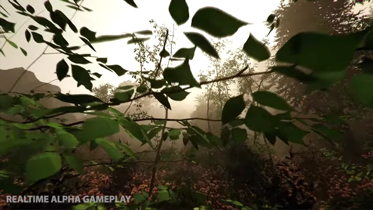 Weather - Official The Forest Wiki