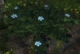 Berry - Official The Forest Wiki