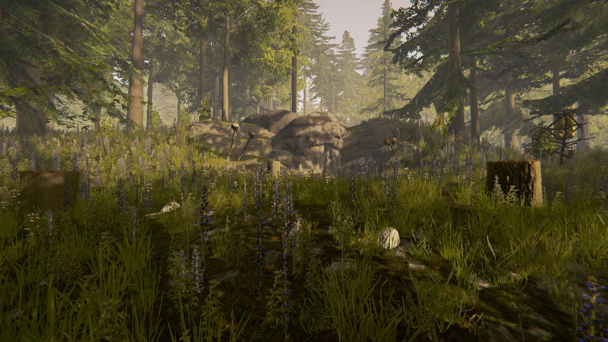 Cave 5 - Submerged Cave - Official The Forest Wiki