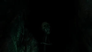 The Forest - Official The Forest Wiki