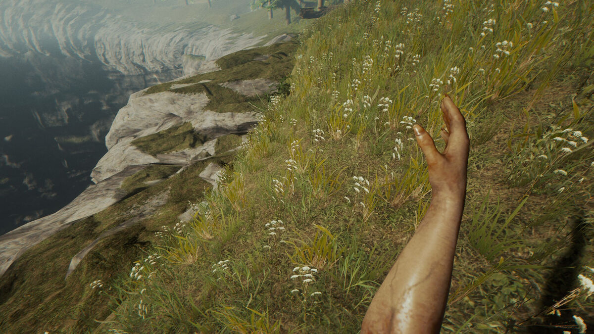 Arm - Official The Forest Wiki