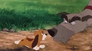 The Fox and the Hound 2 | The Fox and the Hound Wiki | Fandom