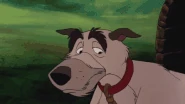 The Fox and the Hound 2 | The Fox and the Hound Wiki | Fandom