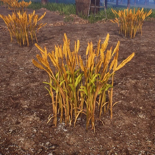 Wheat | The Front Wiki | Fandom