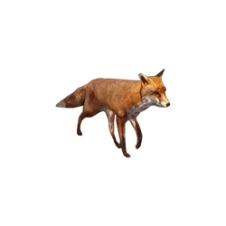 Enemies | The Front Wiki | Fandom