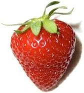 Strawberries (weird tasting red fruit) | Thefruit Wikia | Fandom