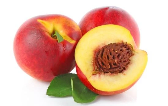 Nectarine (the revival of the purple fruit) | Thefruit Wikia | Fandom