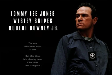 Dick Cusack The Fugitive