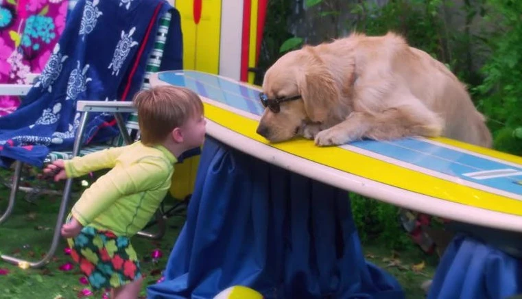 Cosmo Season 3 Image Gallery | Fuller House Wikia | Fandom