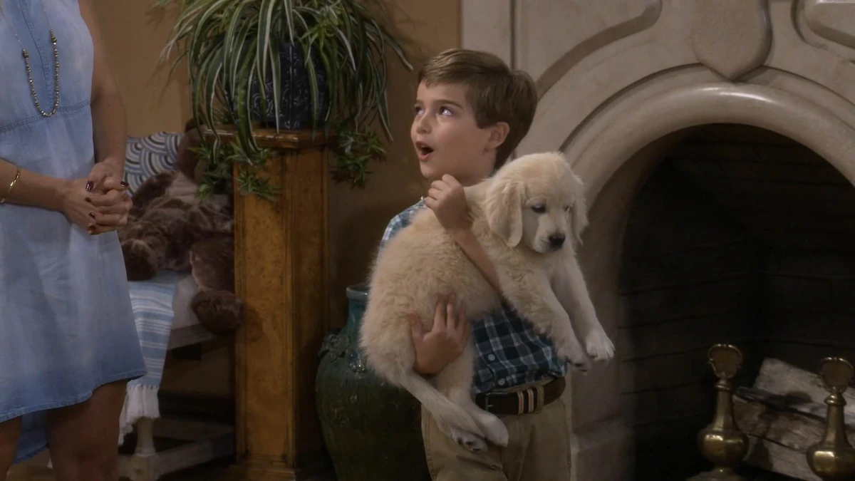 Cosmo Season 1 Image Gallery | Fuller House Wikia | Fandom