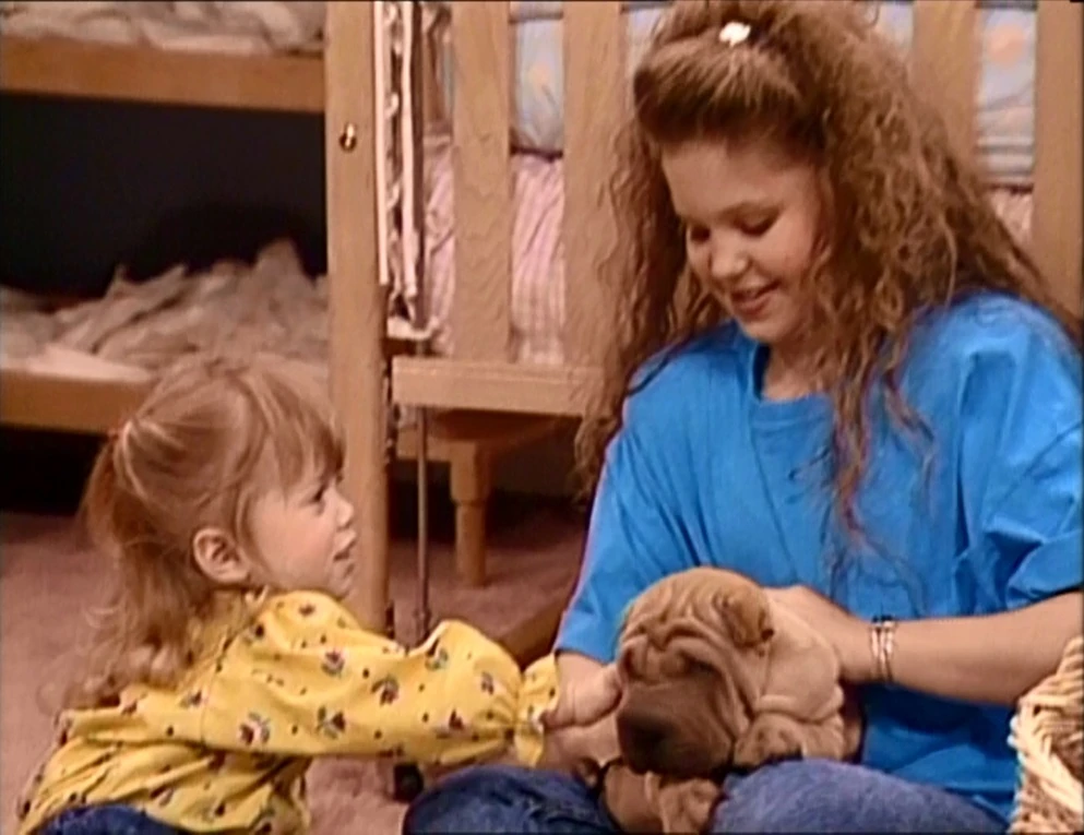 Baby Love | Fuller House Wikia | Fandom