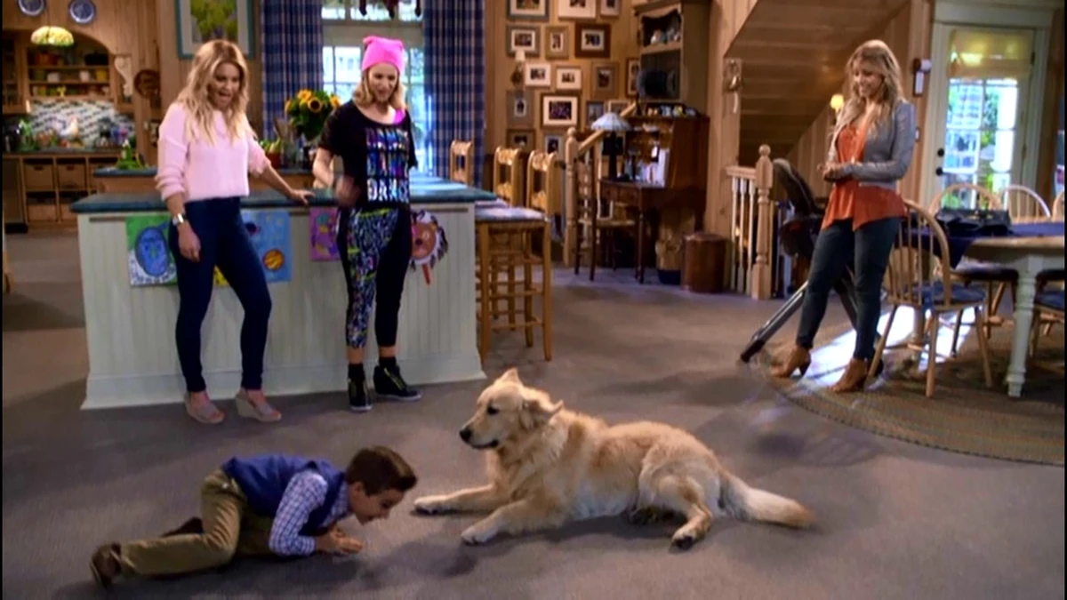 Cosmo Season 2 Image Gallery | Fuller House Wikia | Fandom