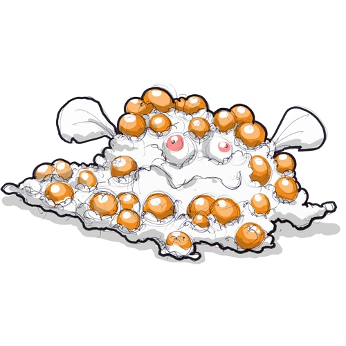 Grubs | The Fungus Amungus Wiki | Fandom