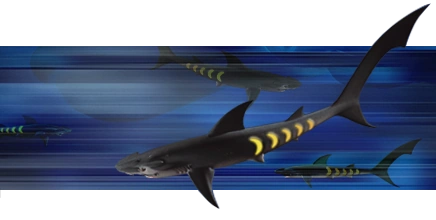 Sharkopath | The future is wild wiki | Fandom