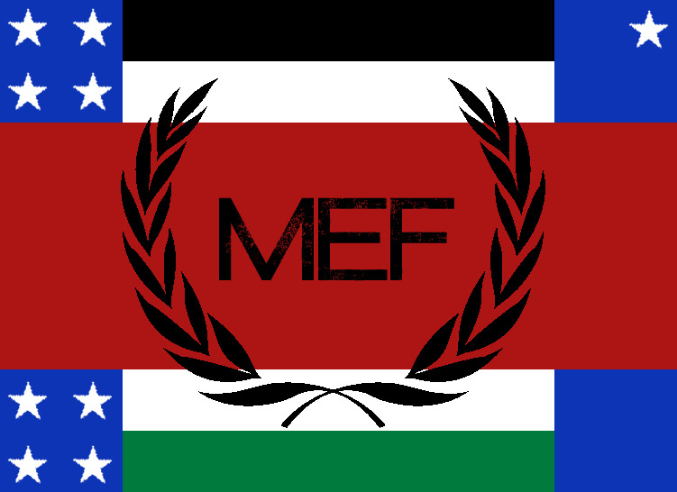 The Future (Map Game)/Middle Eastern Federation | TheFutureOfEuropes ...