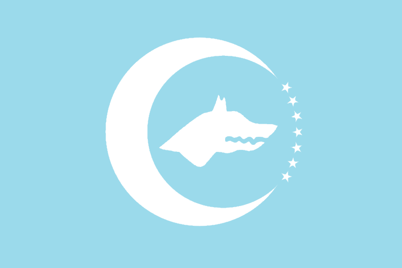 Turanic Caliphate | TheFutureOfEuropes Wiki | Fandom