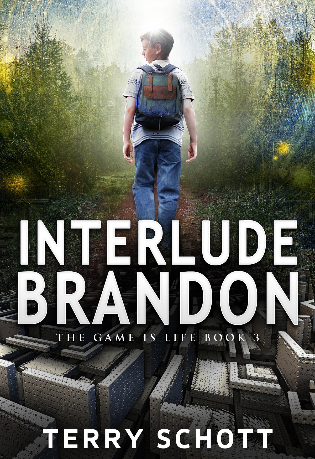 Interlude - Brandon | The Game Is Life Wikia | Fandom