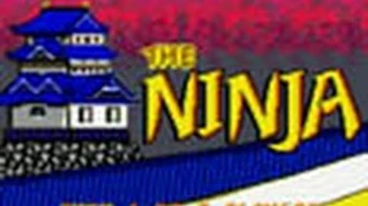 The Ninja (Master System) | Classic Game Room Wiki | Fandom