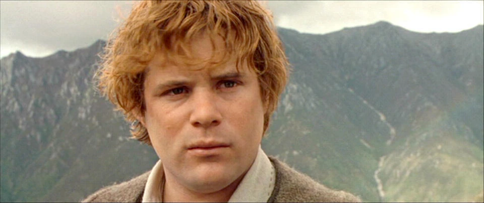 Samwise Gamgee | The Games Wiki | Fandom