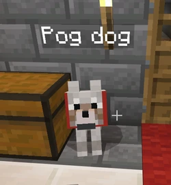 Pog Dog | TheGangSMP Wiki | Fandom
