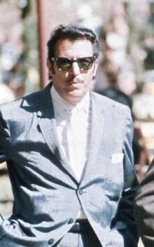 Soldato | Wikia TheGodfatherVN | Fandom