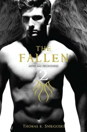 The fallen 2 | The Good Fallen Angels Wiki | Fandom