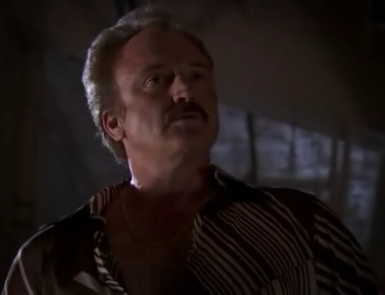 Dan Stark before Season 1 | The Good Guys Wiki | Fandom