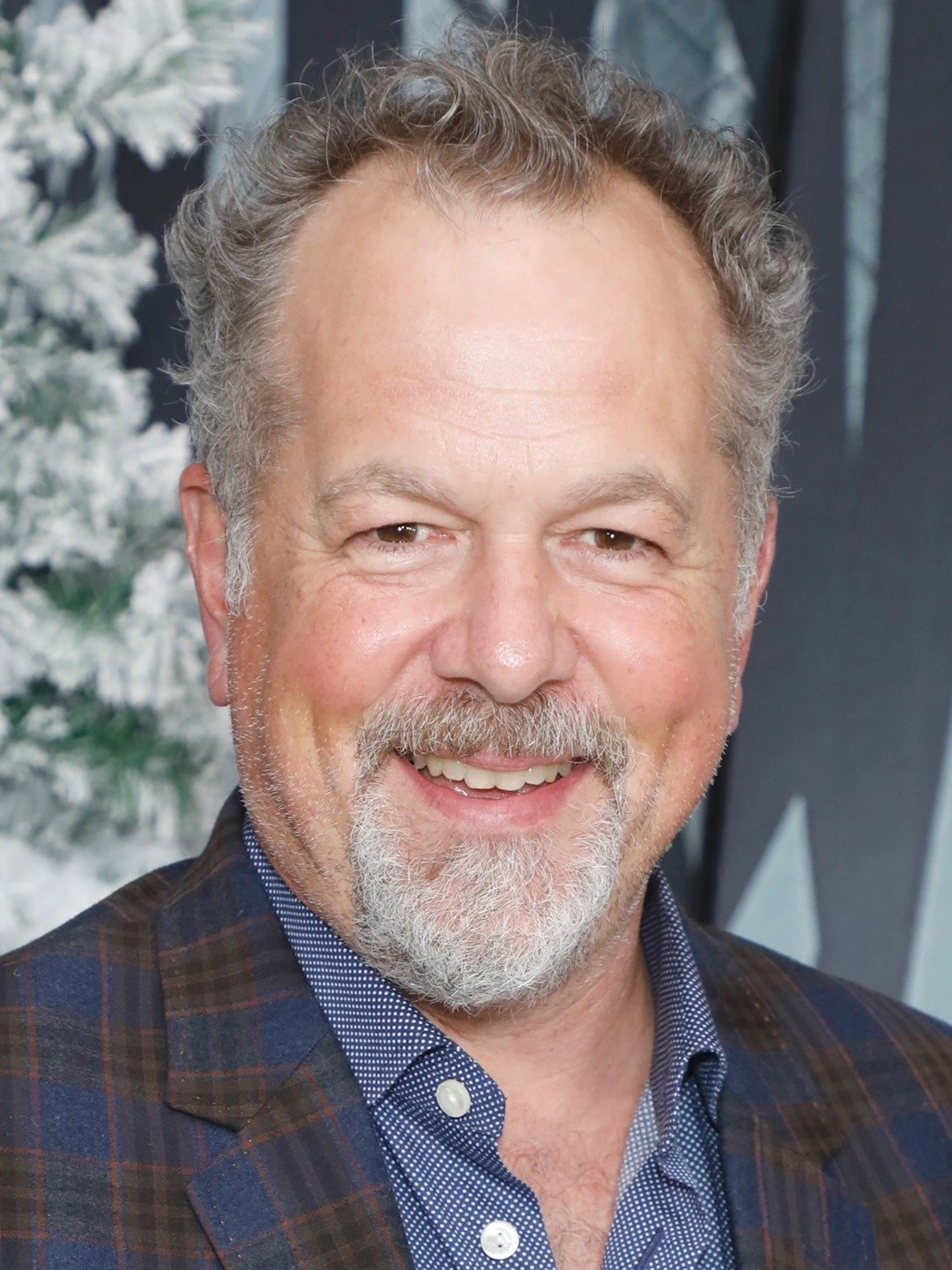 David Costabile | The Good Wife Wiki | Fandom