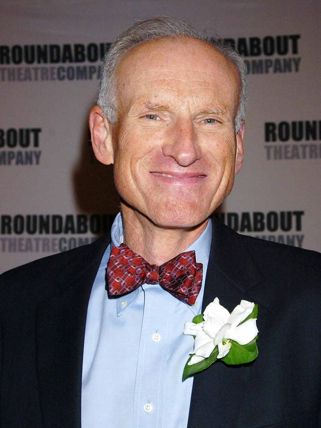 James Rebhorn | The Good Wife Wiki | Fandom