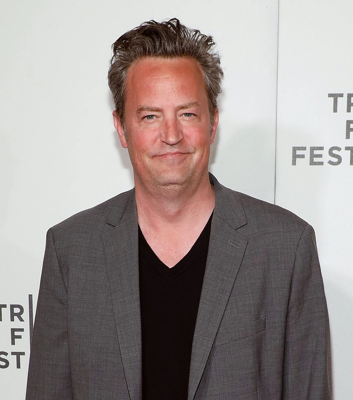 Matthew Perry | The Good Wife Wiki | Fandom